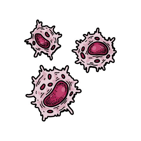 Natural Killer Cell Isolated On White Background Hand Drawn Scientific