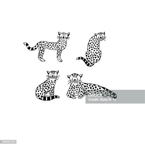 낙서 스타일 벡터 일러스트로 아기 표범 세트 갈고리 발톱에 대한 스톡 벡터 아트 및 기타 이미지 갈고리 발톱 귀여운 그리기 Istock
