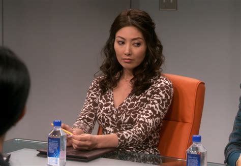 Karen The Big Bang Theory Wiki Fandom