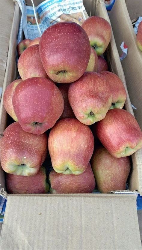 B Grade Kashmiri Kinnaur Apple Packaging Size Loose At Best Price In