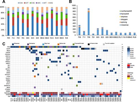 Next Generation Sequencing In Nsclc A Percentages Of Non Silent Download Scientific Diagram