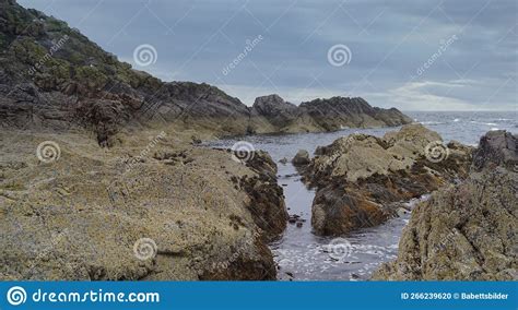 Bow Fiddle Rock Stock Photo Image Of Nature Rock Arch 266239620