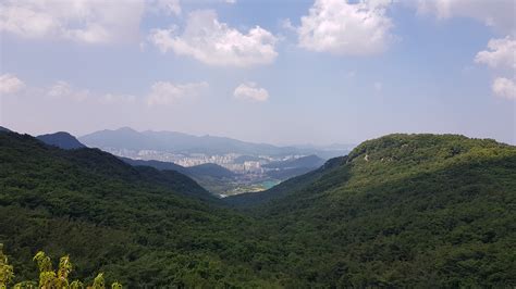 Daum 카페