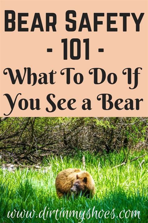 8 Camping Safety Ideas Camping Safety Camping Camping Hacks