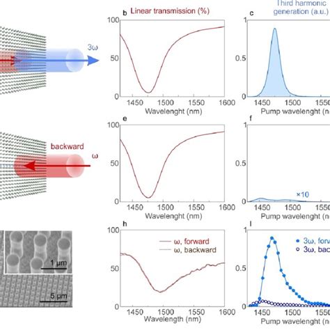 Symmetric Linear And Asymmetric Nonlinear Spectral Response Of A