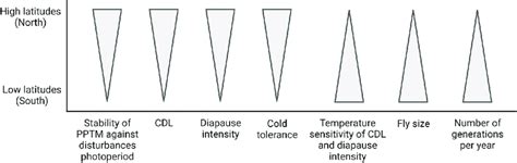 Direction Of Latitudinal Variation In Traits Important In Fly Survival