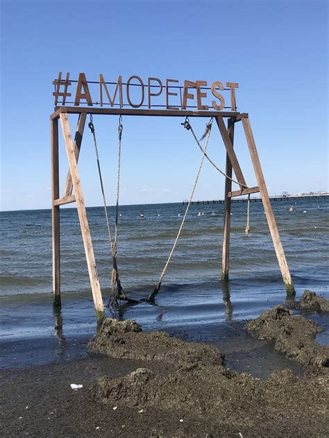Морская качелька | Пикабу