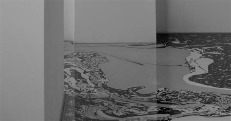 Tentoonstelling Tussen Kunst En Wetenschap In Science Park Het Parool