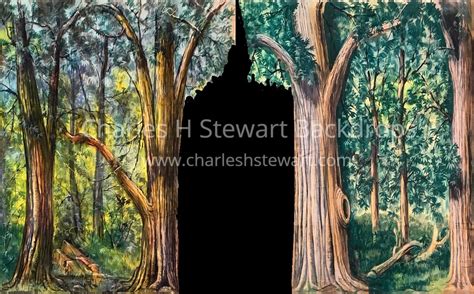 Distant Village Tab And Legs Backdrop For Rent By Charles H Stewart