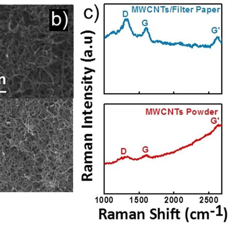 A And B Sem Image Of Mwcnt Membrane On Filter Paper C Raman