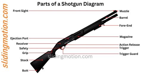 guide for 16 key parts of a shotgun names functions and diagram