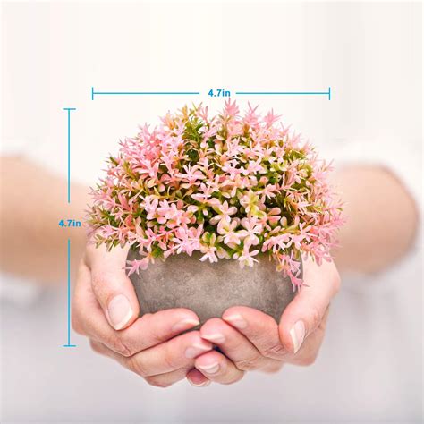 ODOM Plantas artificiales 5 unidades pequeñas plantas falsas para