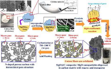 Schematic Diagram Of The Preparation Of N Doped Porous Carbon Particles