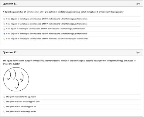 Solved Question 11 1 Pts A Diploid Organism Has 24