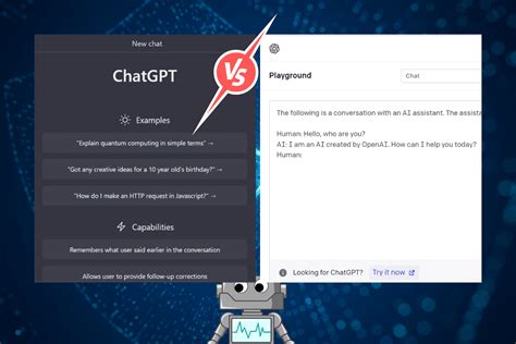 Chatgpt Vs Playground The Ultimate Showdown The Nature Hero