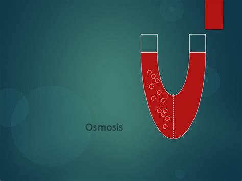 Body Fluids Ppt Pdf Dr Rafea Al Fayyadh Muhadharaty