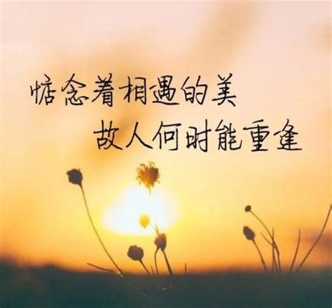 人生迷失了方向的图片 搜狗图片搜索