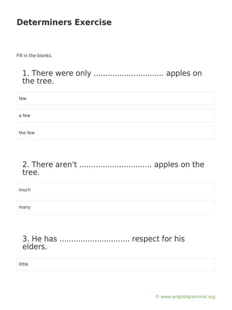 Determiners Exercise Pdf