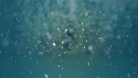 [video] Agile Cloud Consulting On Linkedin Christmas Holidays