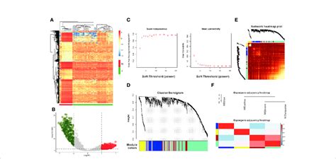 Identification Of DEGs And Coexpression Modules A The Heatmap Plot