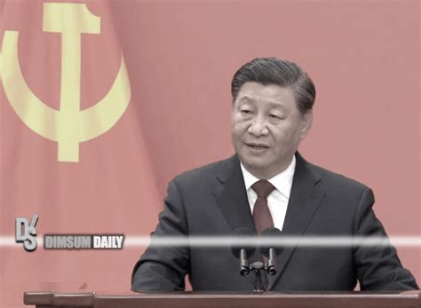 Chinese President Xi Jinping Appoints New Ambassadors Dimsum Daily