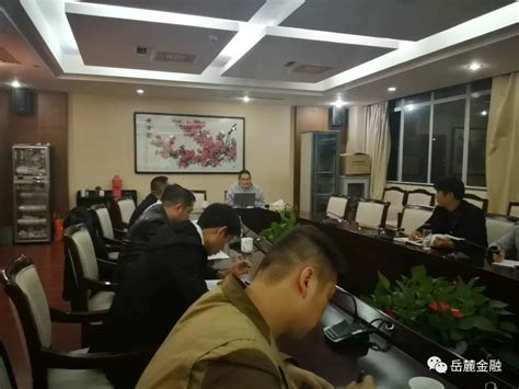 岳麓金融沙龙第十四期债券信用评级的探究