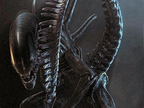 Alien Posicion Defensiva O O By Fabi0l1 On Deviantart
