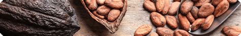 Топъл шоколад и какаови зърна Flow Cacao Roasters Ebag Bg