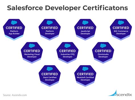 What Does A Salesforce Developer Do Roles And Responsibilities