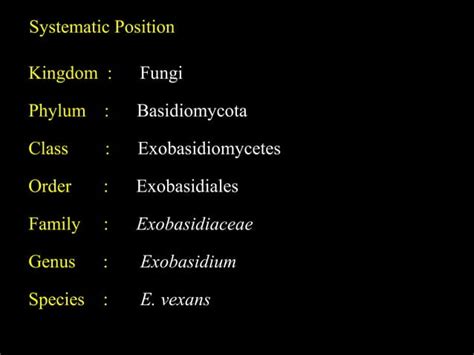Tea Blister Blight Ppt