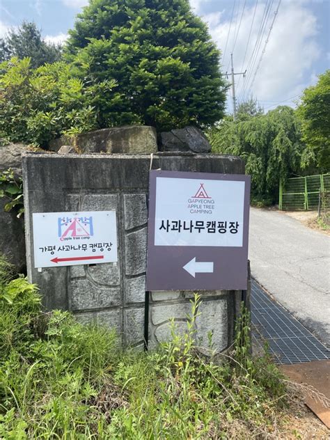 가평 단독사이트캠핑장애견동반캠핑장사과나무캠핑장 네이버 블로그