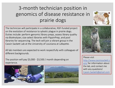 A Great Place To Work Kumer Pial Das