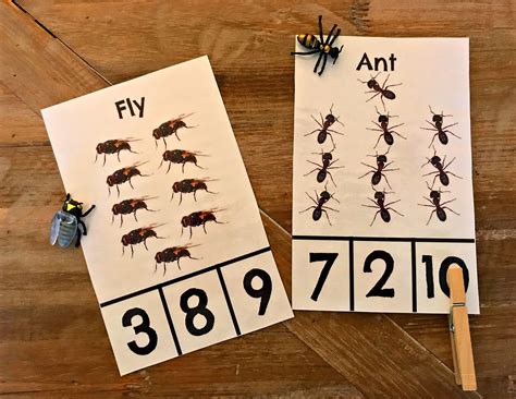 Bug Count And Clip Cards Count And Clip Cards Bugs Printables