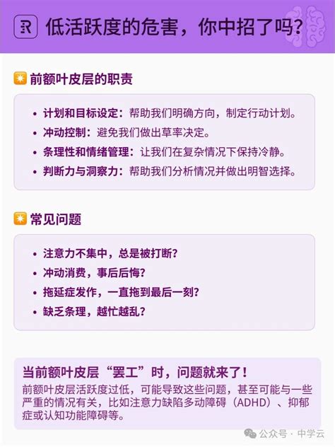 【前额叶皮层】你的“大脑ceo”，提升大脑洞察力的关键 知乎