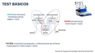 Nuevas Pruebas” Test De Generación De Trombina Técnicas