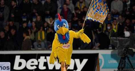 KVC Westerlo Vs RFC Seraing Live Stream How To Watch Belgian First