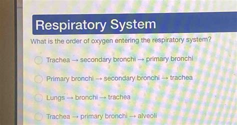 Solved Respiratory System What Is The Order Of Oxygen Entering The