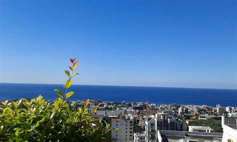 Isp Lebanon Linkedin