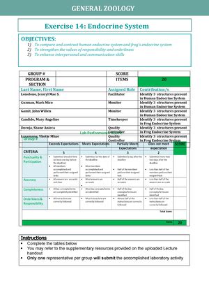 LAB Exercise Fundamental Types Of Tissues Integumentary System Name Polintan Aaliyah Erin G