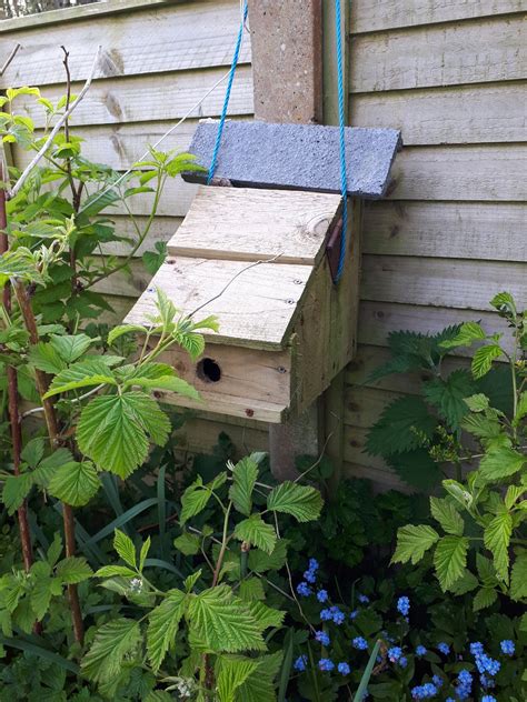 Sile Murphy Silemurphy2 Twitter