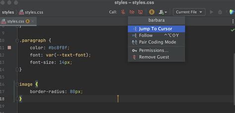 getting started with code with me webstorm documentation