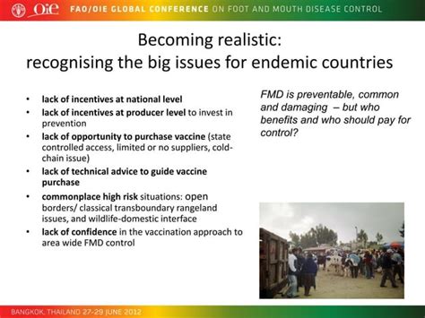 The Progressive Control Pathway For FMD PCP FMD A Tool For Developing Sustainable Long Term