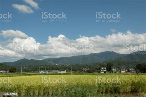 나가노의 하늘을 바라보는 일본의 논과 산맥의 길에서 바라보는 경치 경관에 대한 스톡 사진 및 기타 이미지 경관 도시를