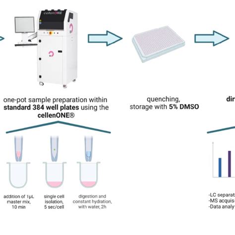 Overview Label Free One Pot Single Cell Sample Processing Workflow