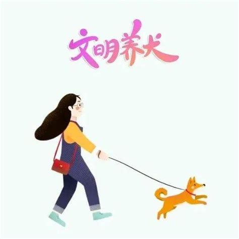 共享一个家！看普陀文明创建如何将“毛孩子”变成“家里人”真光居民安全环境
