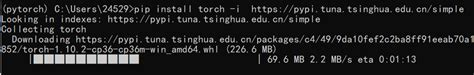 【windows安装torch命令后指定清华源地址加速下载】清华torch源 Csdn博客
