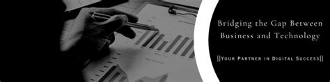 chiraag goswami data driven business analyst agile excel erp
