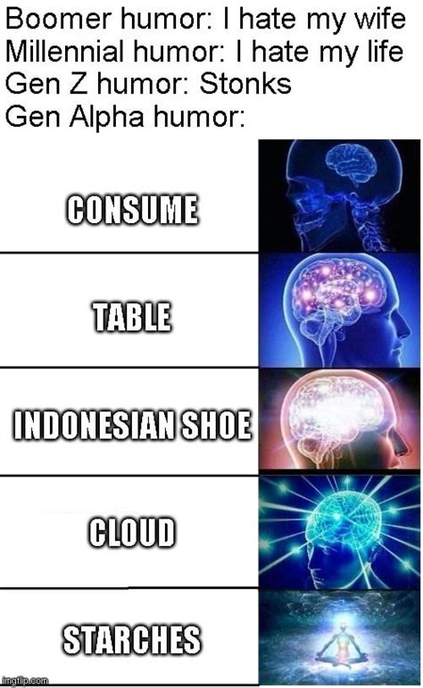 Gen Alpha Memes Be Like According To A Zoomer Rgenalpha