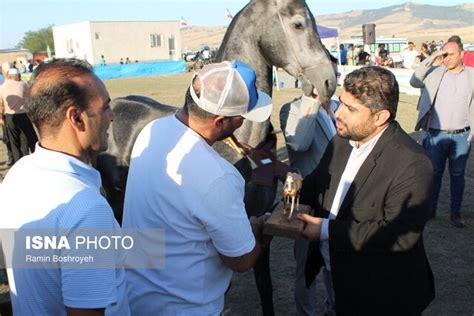 هفدهمین جشنواره ملی زیبایی اسب اصیل ترکمن صوفیان کلاله ایسنا