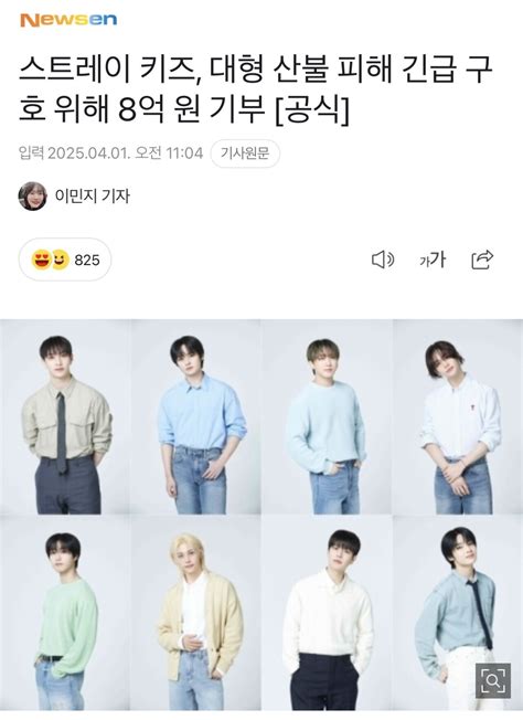 스트레이 키즈 대형 산불 피해 긴급 구호 위해 8억 원 기부 [공식] 유머 움짤 이슈 에펨코리아